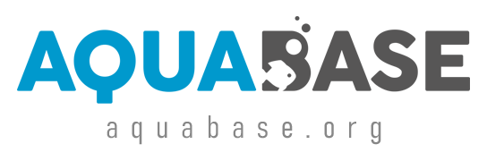 Top 3 des meilleurs animaux pour un aquarium : notre sélection