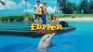 Flipper le dauphin : 60 ans après, la vérité sur le dauphin qui a ...