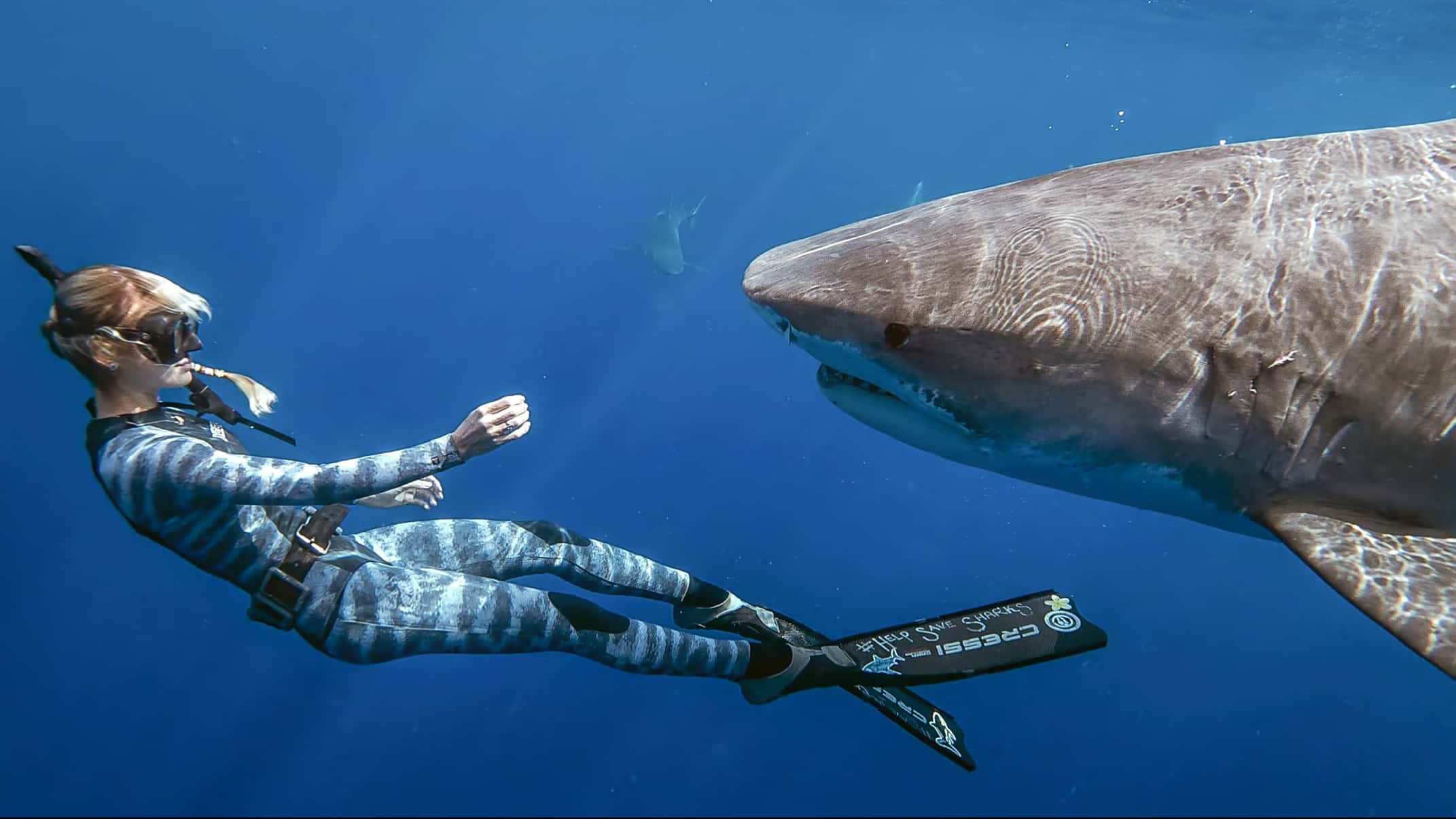 Ocean Ramsey : la femme qui caresse les grands requins blancs sur ...